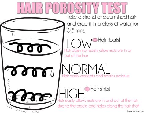 What Is Hair Porosity Used For At Teresa Pamela Blog