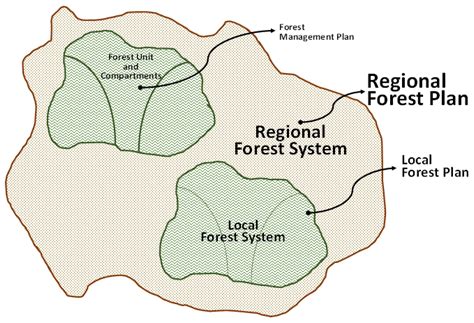Assessing And Mapping Forest Functions Through A Gis Based Multi