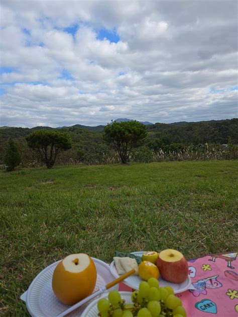 미숙 산소로 가을소풍~ 간소화와 효율성을 이야기하면서 부모님들 제사를 많이 합한다 의미에 집중한다고 보면 두 분을 함께 기리고 추모하고 감사의 마음을 한자리에서