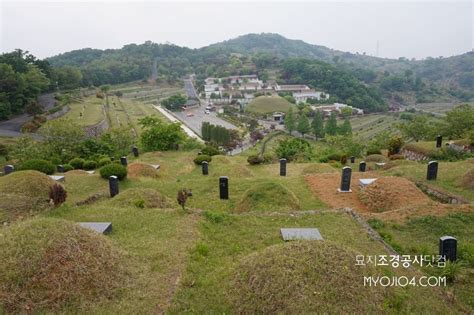용미리 제1묘지 300구역 일반묘 구역의 전경 모습입니다 시공사례 묘지조경공사닷컴 벽제묘지 용미리묘지 전문