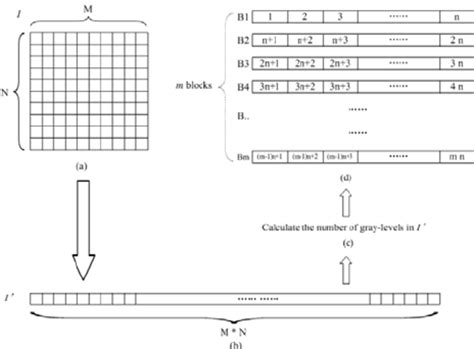 Procedure Of The Embedding Algorithm Hba Download Scientific Diagram