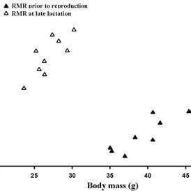Relationships Between RMR Prior To Reproduction And RMR At Late Download Scientific Diagram