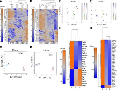 A And B Unsupervised Hierarchical Biclustering Of The Expression
