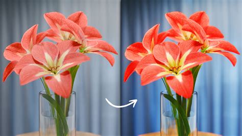 The Secret To Rendering Vibrant Colors With AgX In Blender Is The Raw Workflow CG Cookie