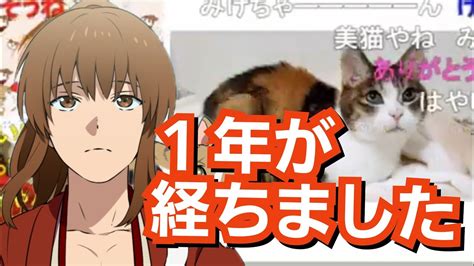 幕末志士ミケちゃんが1周忌をむかえる YouTube