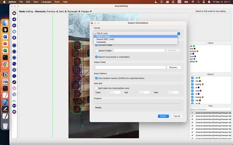 data exporting anylabeling