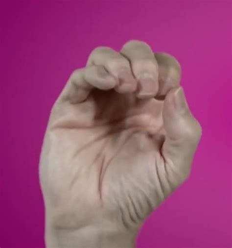 Asl Rsbp Object Detection Model By Asl