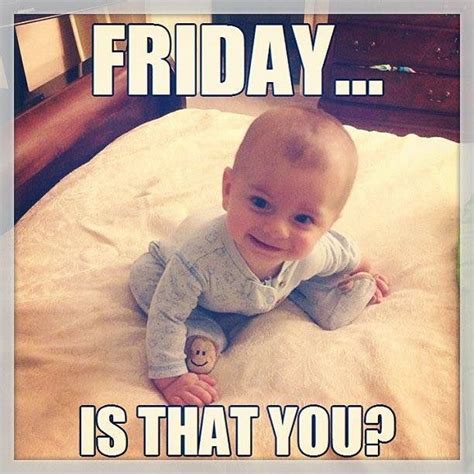 Funny Friday Memes Friday Humor Friday Meme