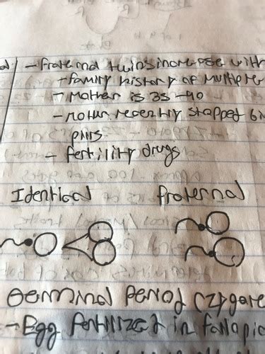 Psychology Flashcards Quizlet