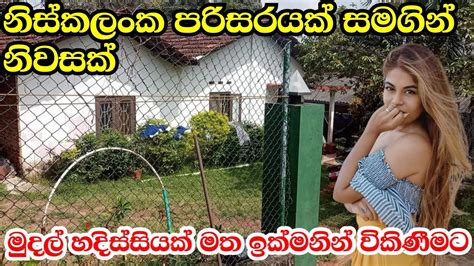 නිස්කලංක පරිසරයක් සමගින් ඉතාමත් ඉක්මනින් නිවසක් සහ ඉඩමක් විකිණීමට Aclandtv Youtube