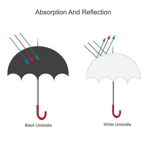 Light Absorption And Light Reflection Isolated On White Black And