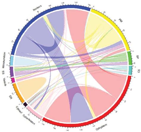 The Circular Plot Of Protein Subcellular Localization Different Colors
