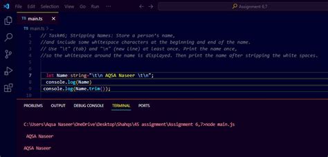 Typescript Github Python Government Aqsa Naseer Uddin