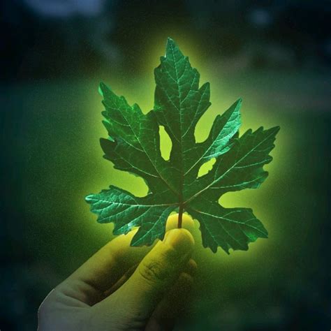 Asad Ullah On Linkedin Photoshop