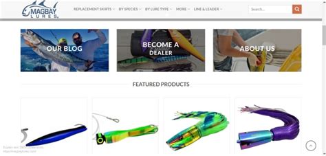 Do Functional Testing Ui And Ux And Cross Browser Testing By Sonalikapoor322 Fiverr