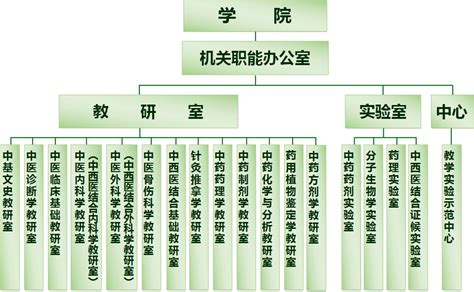 学院架构 中医药学院新