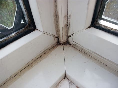 Removing Hard Sealant Possibly Adhesive From UPVC Window Frames DIYnot Forums
