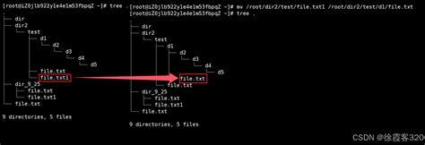 Linux入门1——初识linux指令入门指令 Csdn博客