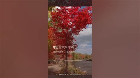 这世界那么多人 王海涛作词，akiyama Sayuri 作曲 Youtube