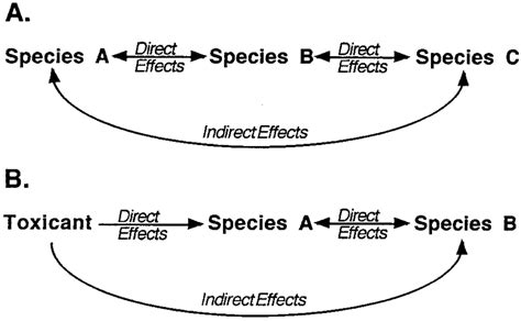 Conceptual Model Of Indirect Effects In A Ecology And B Download Scientific Diagram