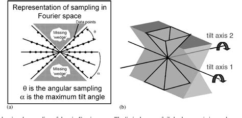 Figure 2 From Reducing The Missing Wedge High Resolution Dual Axis