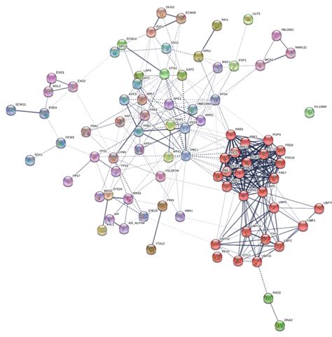 Interaction Network Map Built Using String V110 And Based On The 84
