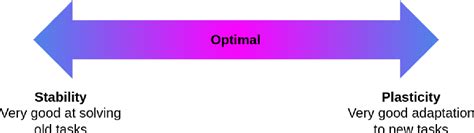 Dissecting Continual Learning A Structural And Data Analysis Paper And