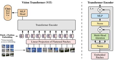 Vision Transformer In Pytorch