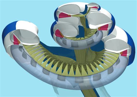 Three Dimensional Cut Through Of A Cochlea With A Laterally Implanted Download Scientific
