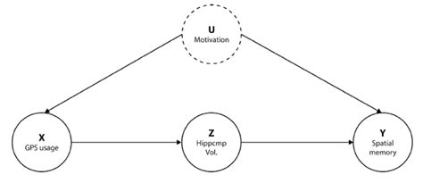 Causal Inference Dowhy 라이브러리 사용 예시