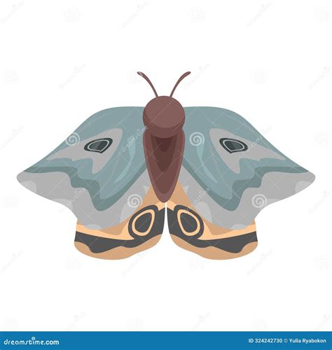 Silk Moth Metamorphosis And Life Stages Silkworm Black And White