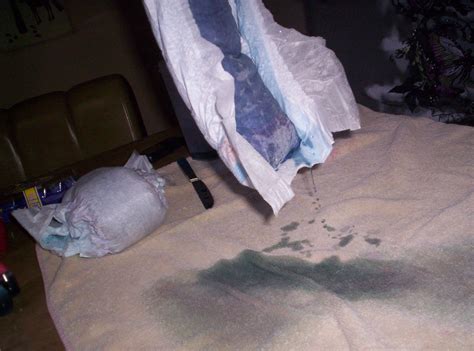 Mrs Woodwards Blog Diaper Experiment