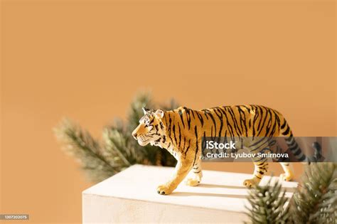 2022 년 중국 새해의 호랑이 상징 밝은 배경에 나무 스탠드에 나뭇가지 가문비 나무와 호랑이의 인형 공간을 복사합니다 0명에 대한 스톡 사진 및 기타 이미지 Istock