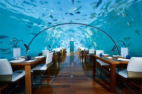 The Best Underwater Restaurants In The Maldives Maldives Paradise