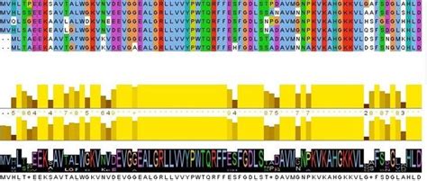 Jalview 多序列比对图中显示序列标识 知乎