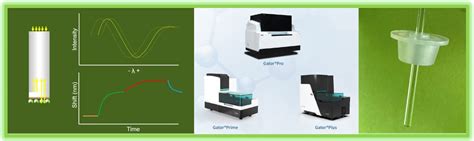 Bli Biolayerinterferometry Gatorbio Hongshan Li