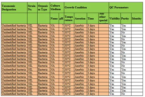 Do Excel Data Entry File Conversion By Premmutum Fiverr