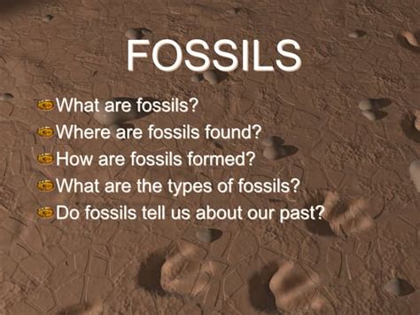 Fossils Ppt