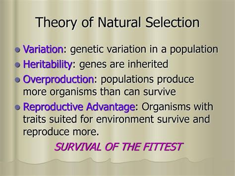 Darwins Theory Of Evolution Ppt Download
