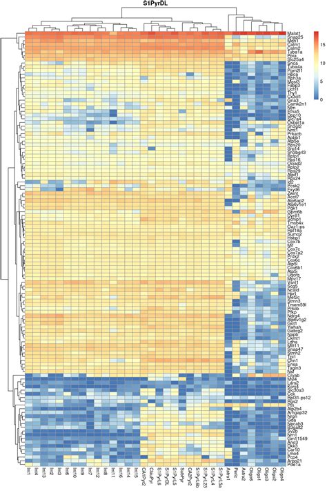 Chapter 9 Cross Annotating Mouse Brains Assigning Cell Types With Singler
