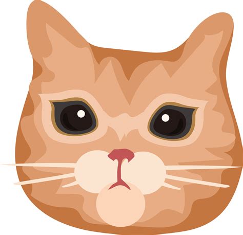 Cute Cat Face 11459655 Png