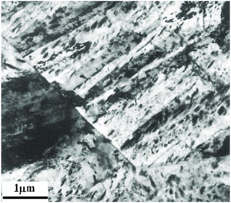 Tem Microstructures Of Lower Bainite Steel Download Scientific Diagram