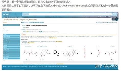 蛋白序列相似度比对 知乎