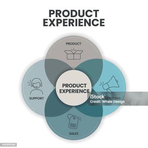 제품 경험 프레임워크 전략 인포그래픽 서클 다이어그램 프레젠테이션 배너 템플릿 벡터에는 제품 관리 엔지니어링 및 디자인이