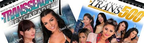 Transsexual Porn Interviews Archives Pornstar Interviews
