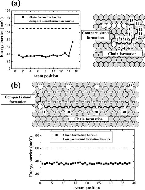 The Effect Of The Long Range Interaction On The Self Assembly Of