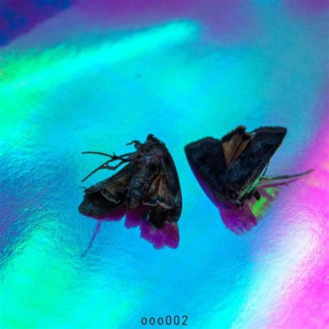 Stream Nandu Moria Feat Ena Cosovic By Out Of Options Listen