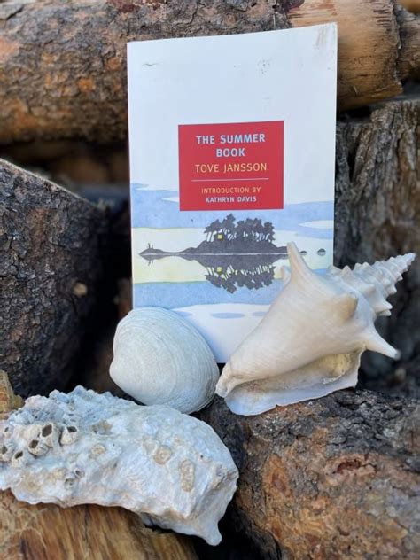 The Summer Book LitReaderNotes