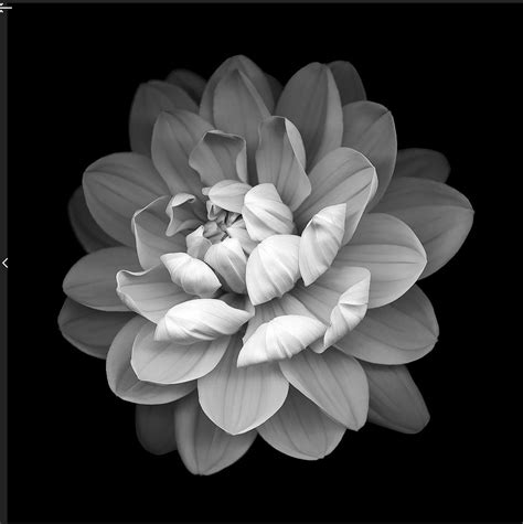 High Quality 3d Model For Cnc Bitmap Bmp Format File Free Download