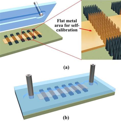 Schematic Structures Of The Microfluidic Sers Device A Details On Download Scientific